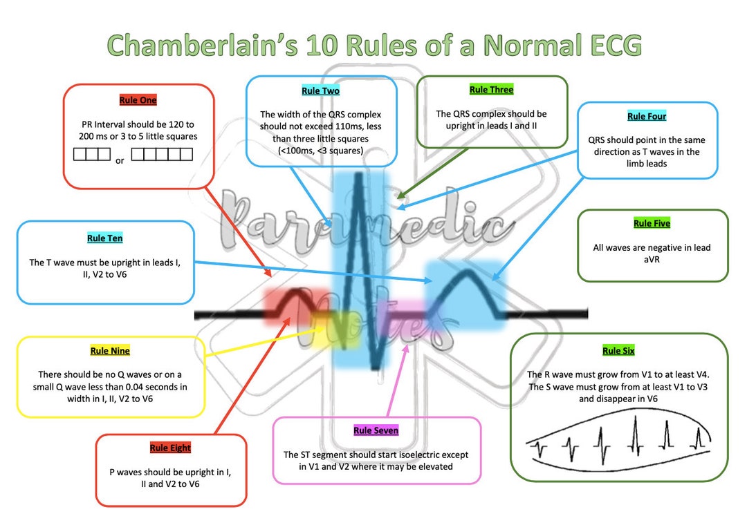Chamberlain's 10 Rules of a Normal ECG - Etsy UK