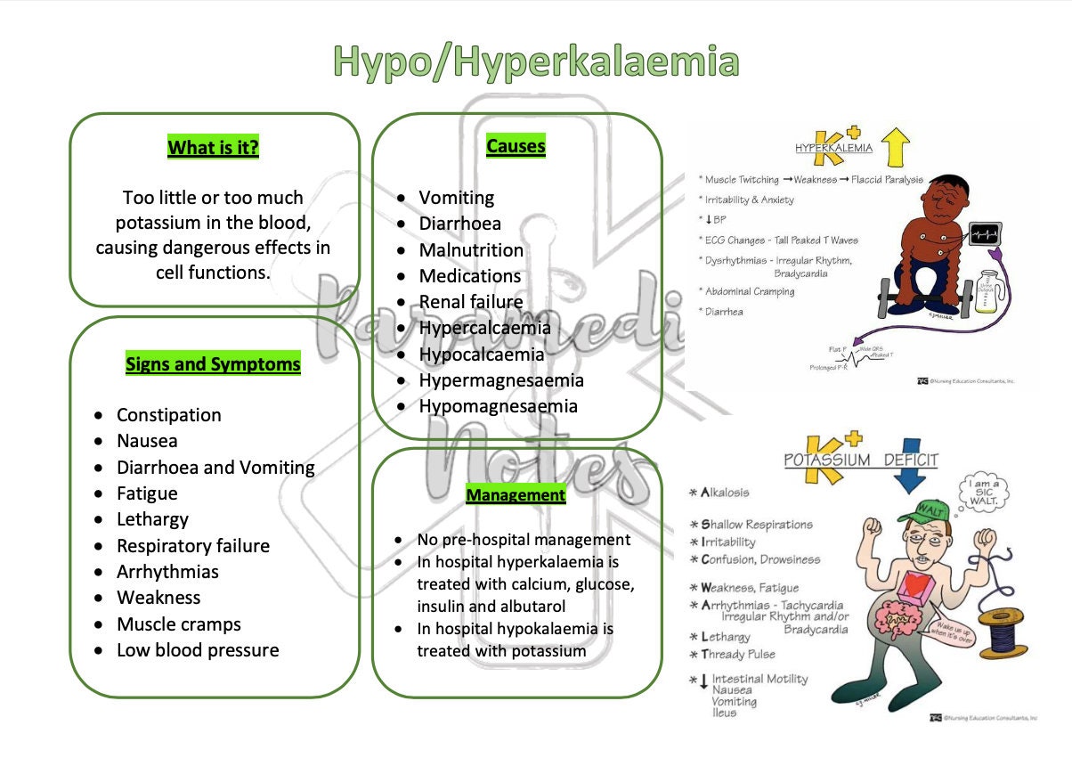 Cardiac Arrest Reversible Causes - Etsy