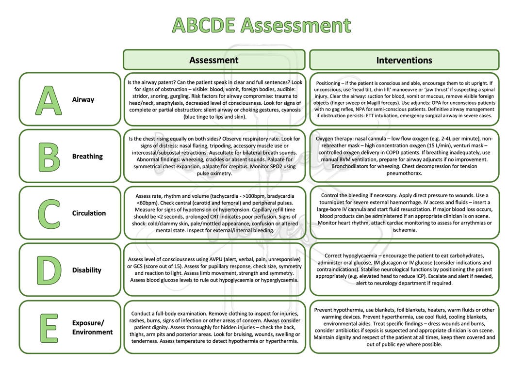 ABCDE Assessment - Etsy UK
