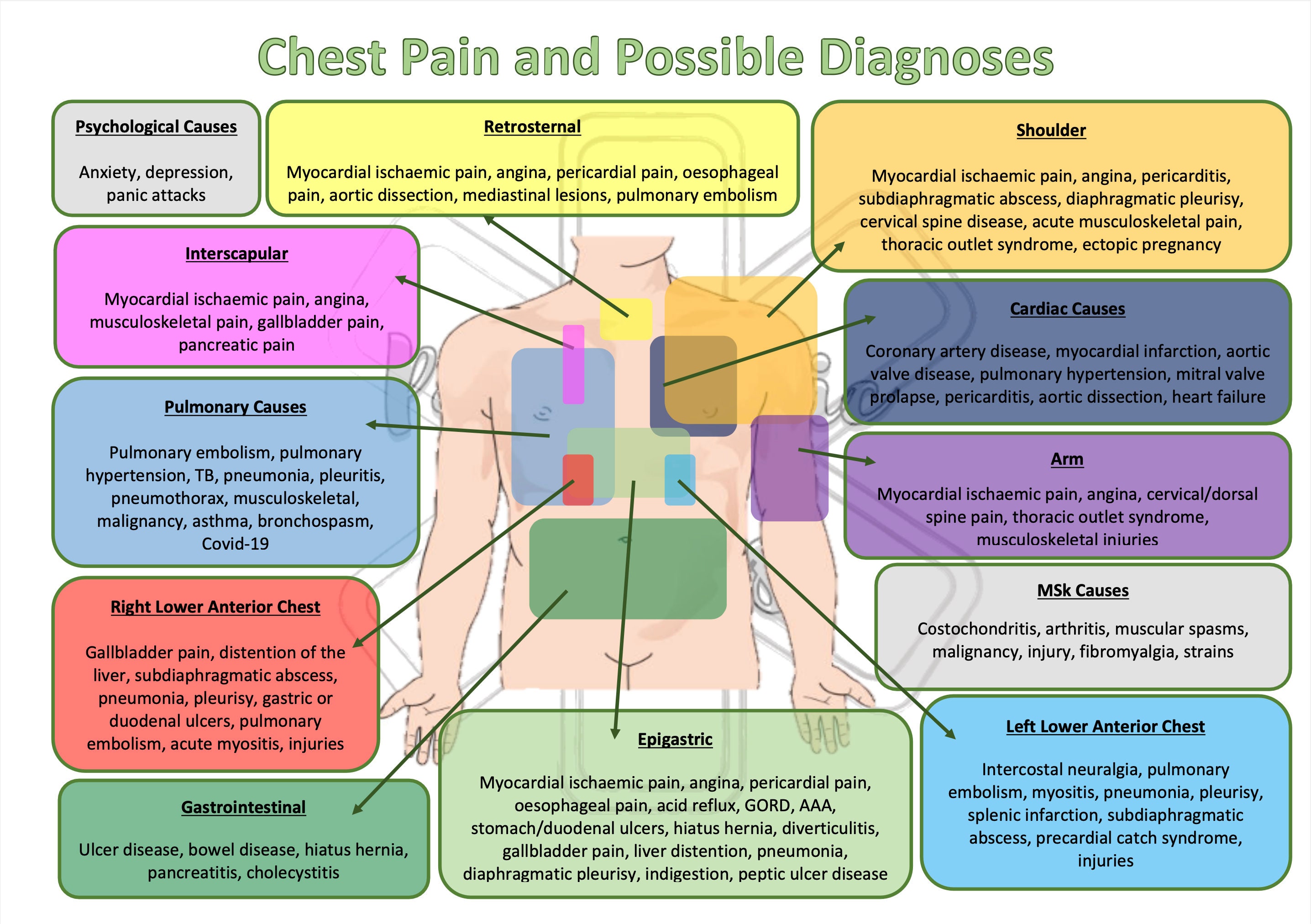 Chest Pain and Possible Diagnosis - Etsy