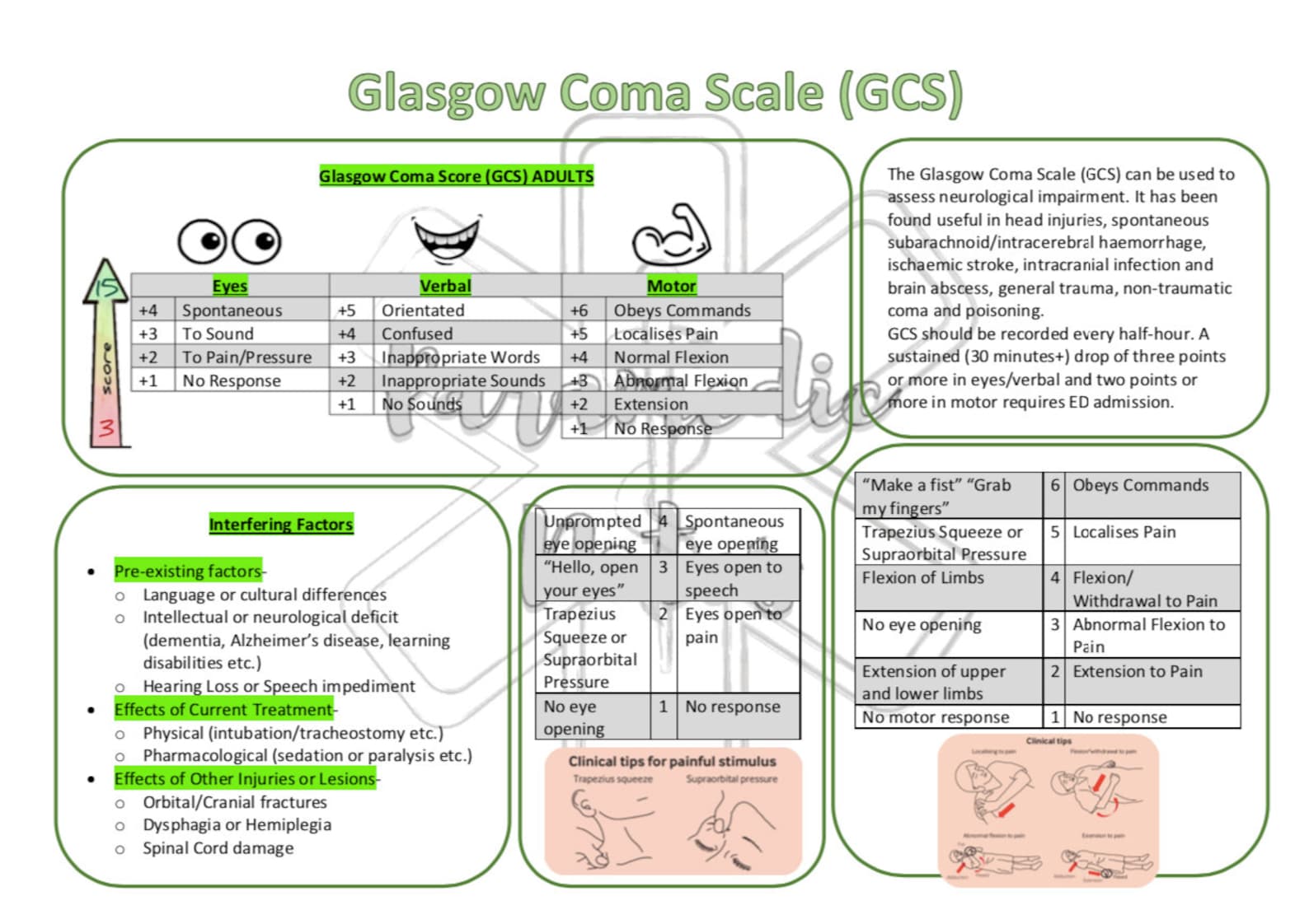 Glasgow Coma Scale (GCS) - Etsy Canada