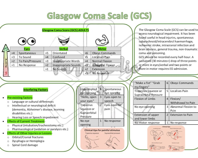 Glasgow Coma Scale Chart (GCS) - Etsy Norway