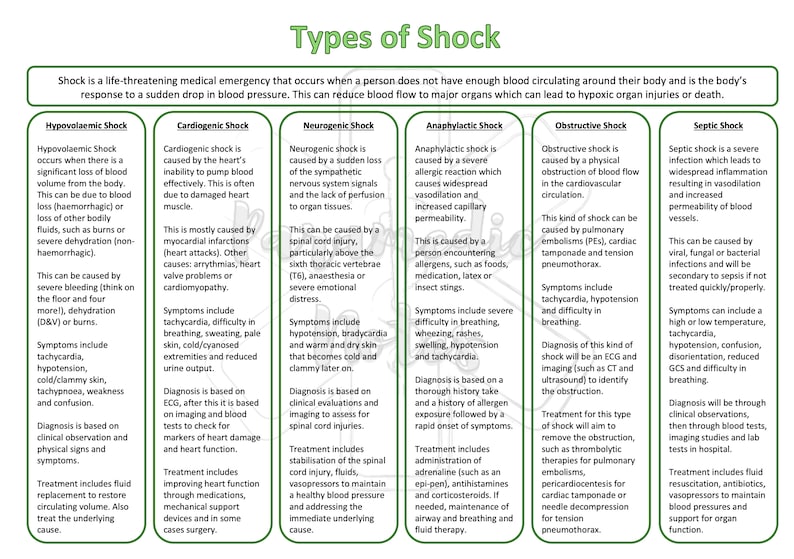 Types of Shock - Etsy