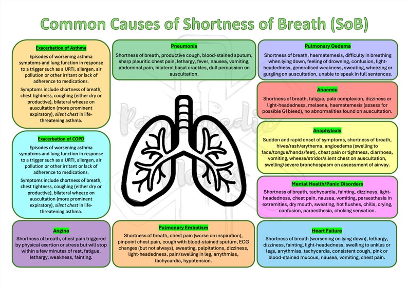 Common Causes of Shortness of Breath - Etsy