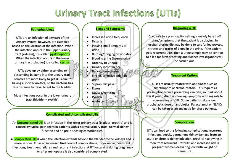 Urinary Tract Infections (utis) - Etsy
