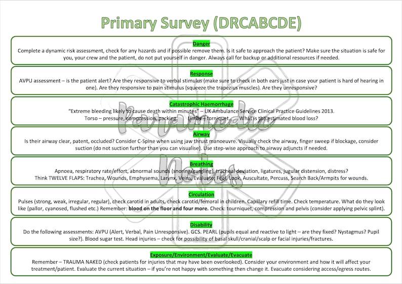 Primary Survey - Etsy