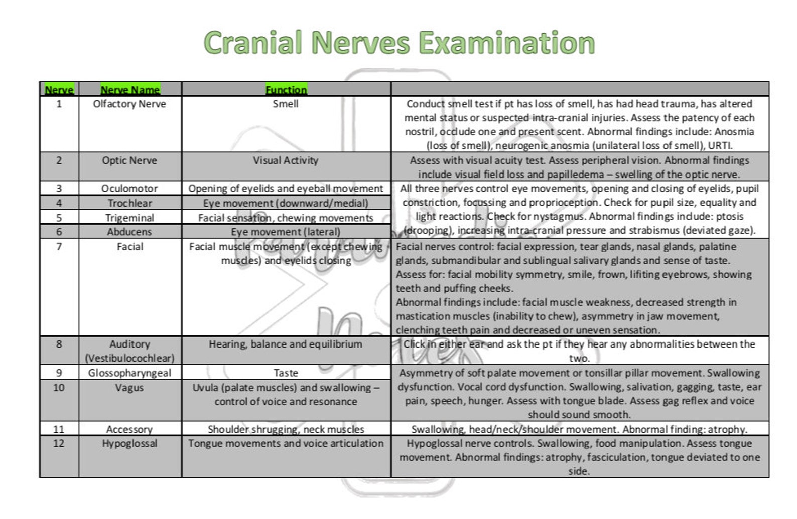 Cranial Nerves Functions and Examination - Etsy