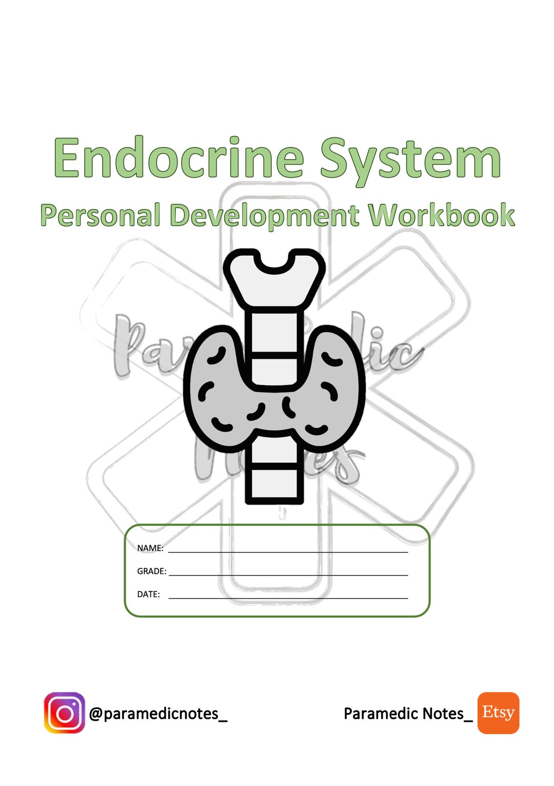 Endocrine System Workbook - Etsy