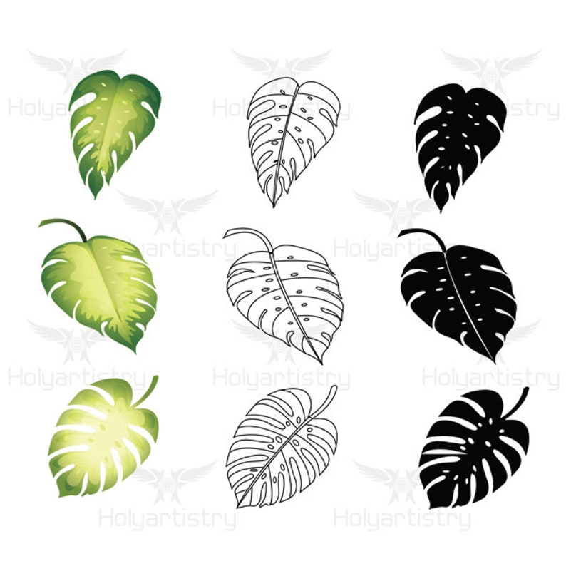 Monstera Leaves Bundle Svgtropical Leaves Bundle Cutting File - Etsy