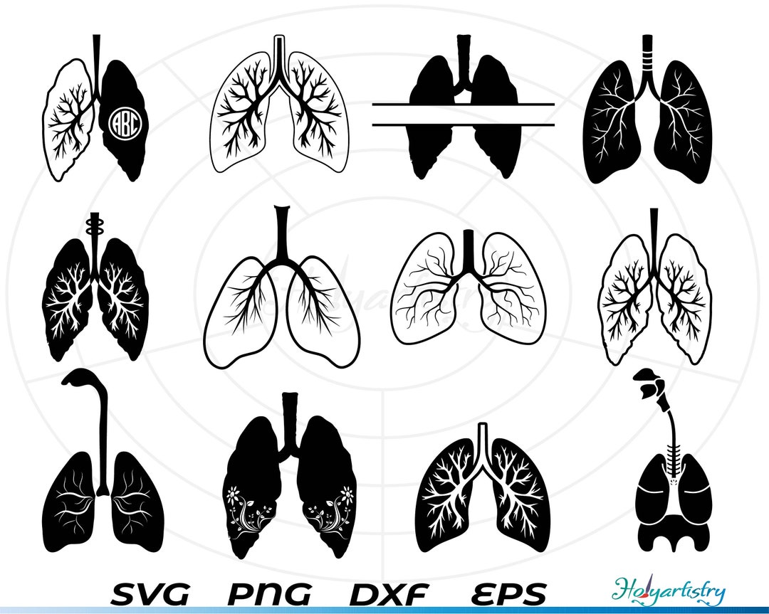 Lung SVG, Medical Image Svg, Human Lung Svg, Bronchial Svg, Clipart ...
