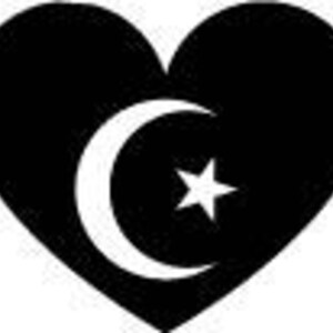 Algeria Flag Svg, Algeria Bundle, Algeria Waving Flag, Love Algeria ...