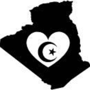 Algeria Flag Svg, Algeria Bundle, Algeria Waving Flag, Love Algeria ...