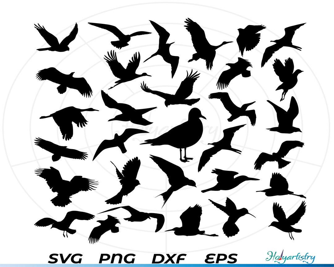 Sea Gull SVG, Sea Bird SVG, Vector, Silhouette, Cricut File, Clipart ...