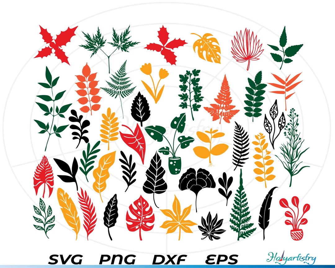 Fall Leaves Svg Bundle, Natural Svg,fall Svg,fall Leaf Svg, Autumn ...