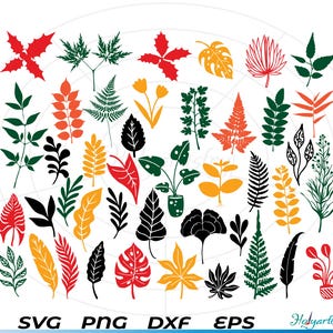 Fall Leaves Svg Bundle, Natural Svg,fall Svg,fall Leaf Svg, Autumn ...
