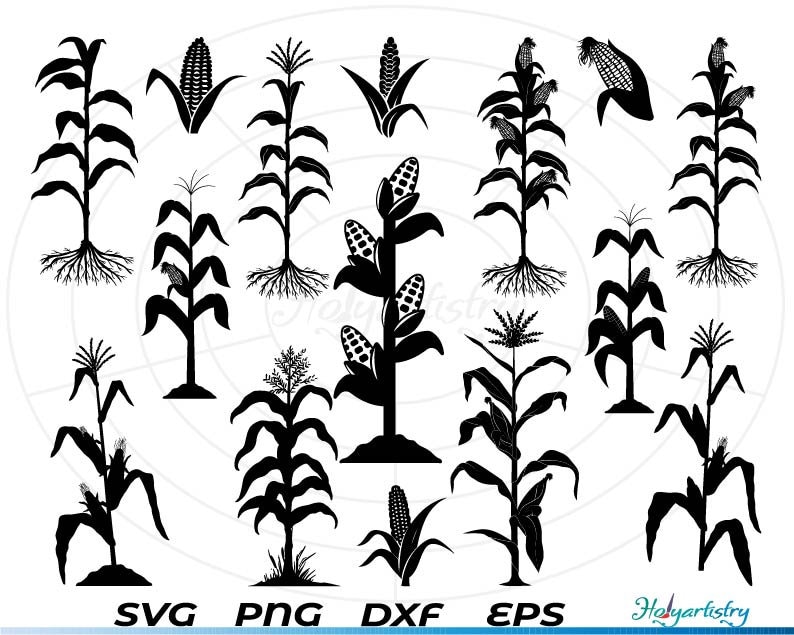Corn Stalks SVG, Corn Tree, Corn Svg, Corn Field, Popcorn, Maize Svg ...