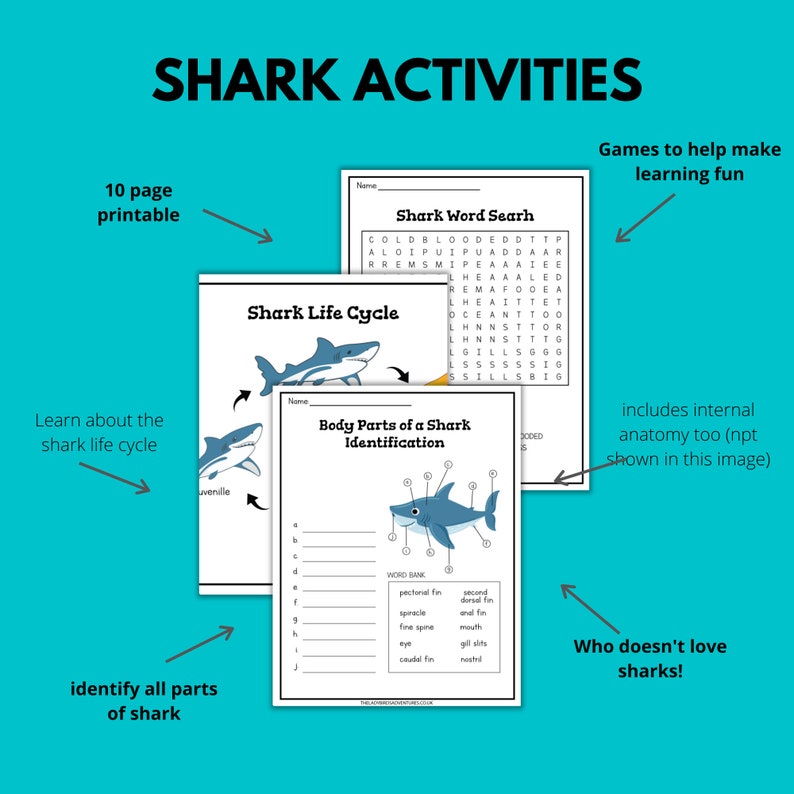 Shark Activities for Kids, Shark Anatomy and Life Cycle Poster ...