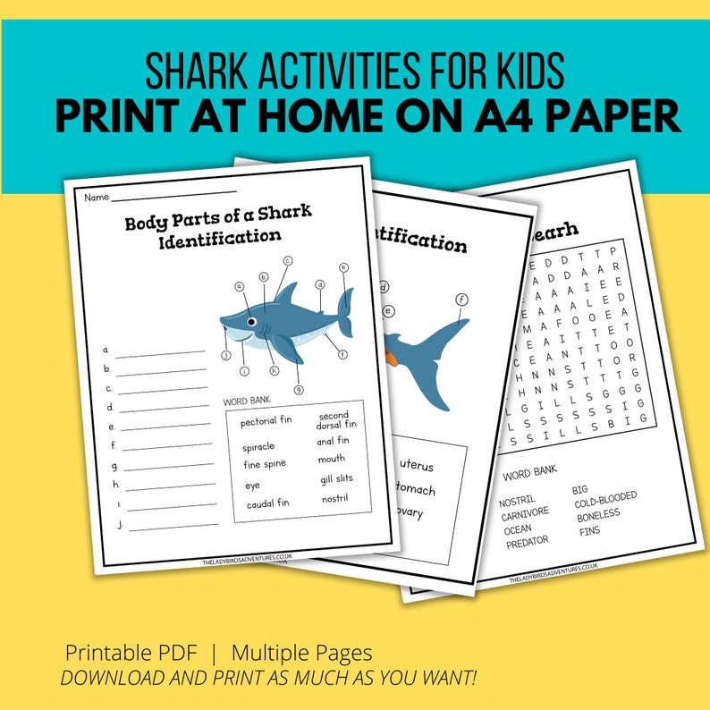 Shark Activities for Kids, Shark Anatomy and Life Cycle Poster ...