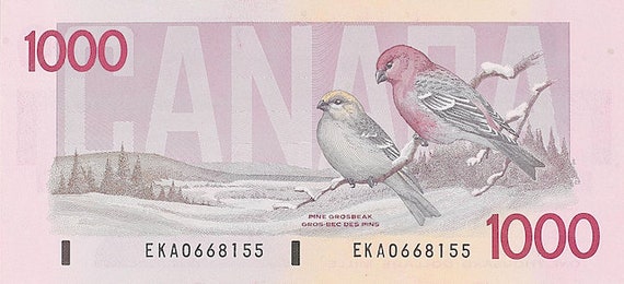 New Canadian 1000 Dollar Bill