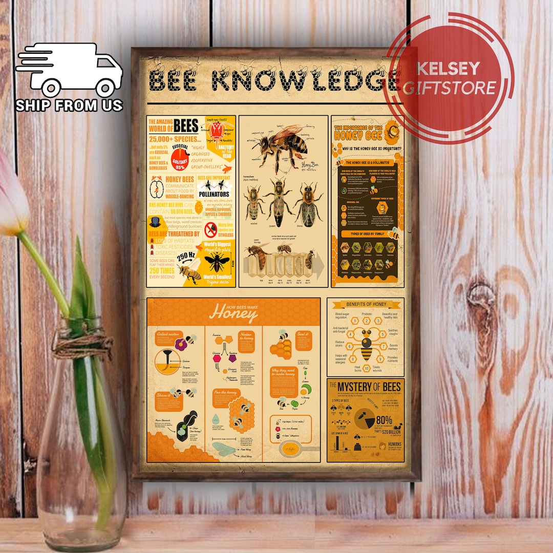Honey Bee Knowledge Poster Bee Anatomy Poster - Etsy