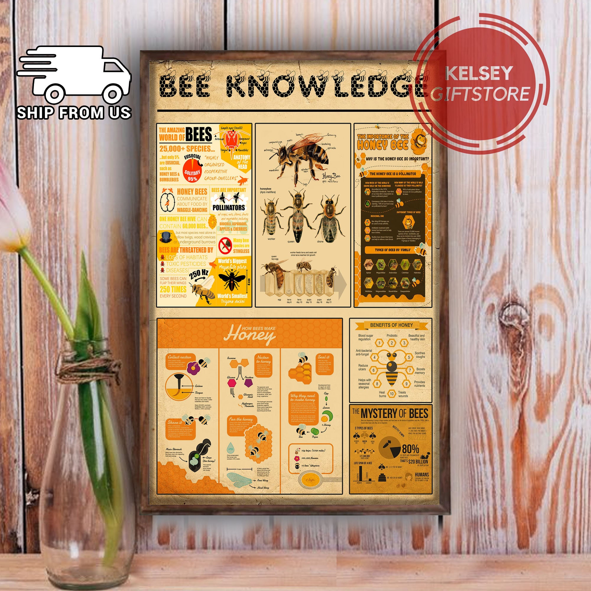 Honey Bee Knowledge Poster Bee Anatomy Poster - Etsy