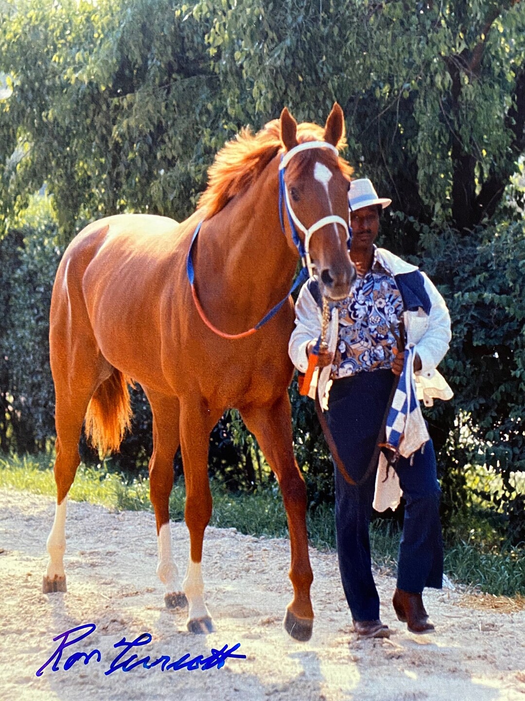 Secretariat Photograph Hand Signed by Ron Turcotte Hall of Fame Rider ...