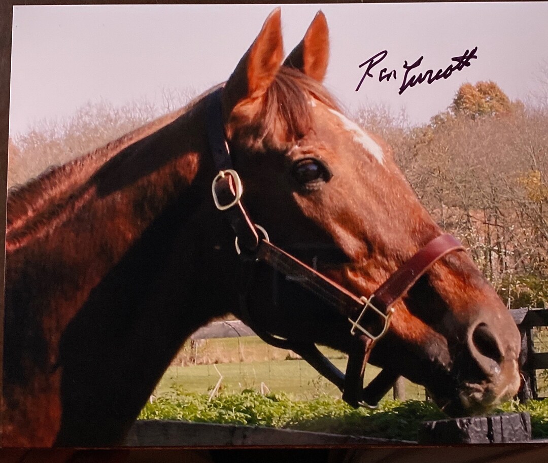 Secretariat Signed Ron Turcotte Portrait Photograph - Etsy