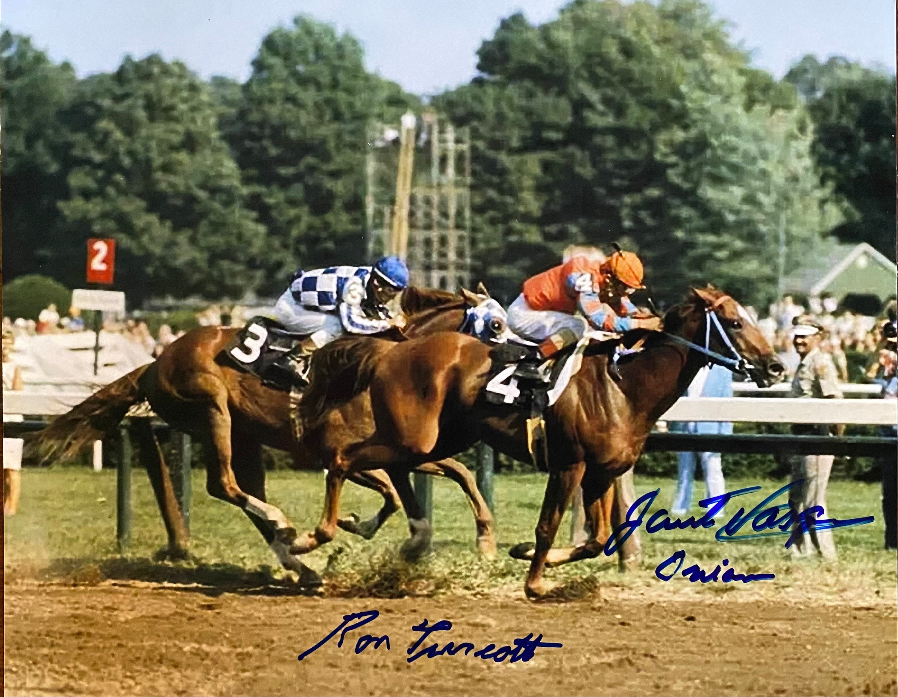 Secretariat Photograph Whitney Stakes 1973 “onion Upsets Triple Crown ...