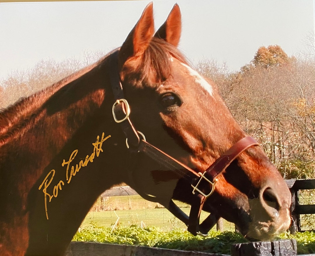 Secretariat Photograph Ron Turcotte Autograph Signed in Gold ! Triple ...