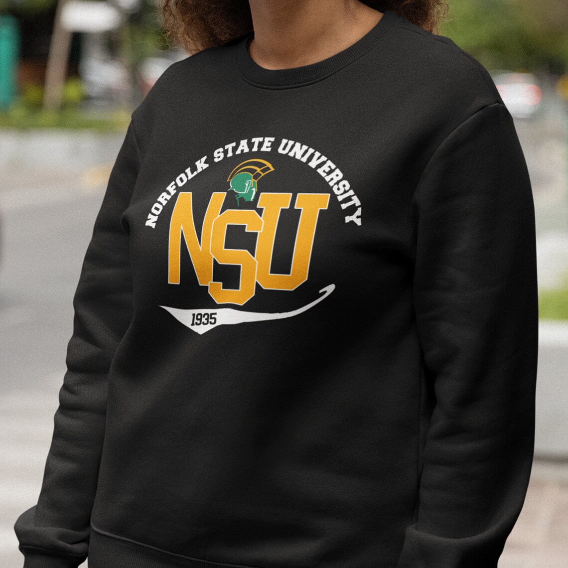Norfolk State Classic Edition - Norfolk Spartans Homecoming, Retro NS U ...