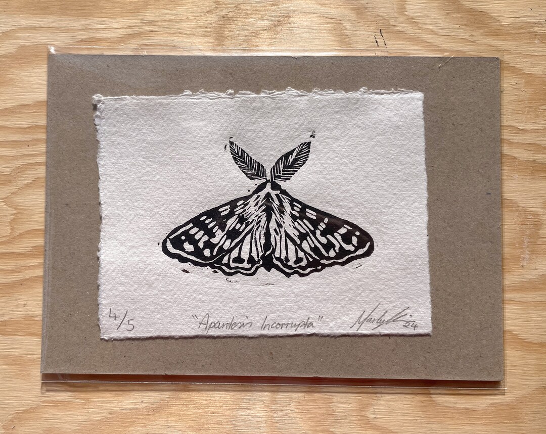 Apantesis Incorrupta Tiger Moth Linocut Print | Wall Art | Moth Artwok ...