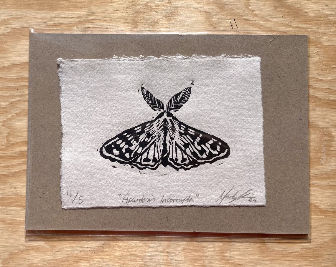Apantesis Incorrupta Tiger Moth Linocut Print | Wall Art | Moth Artwok ...