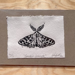 Apantesis Incorrupta Tiger Moth Linocut Print | Wall Art | Moth Artwok ...