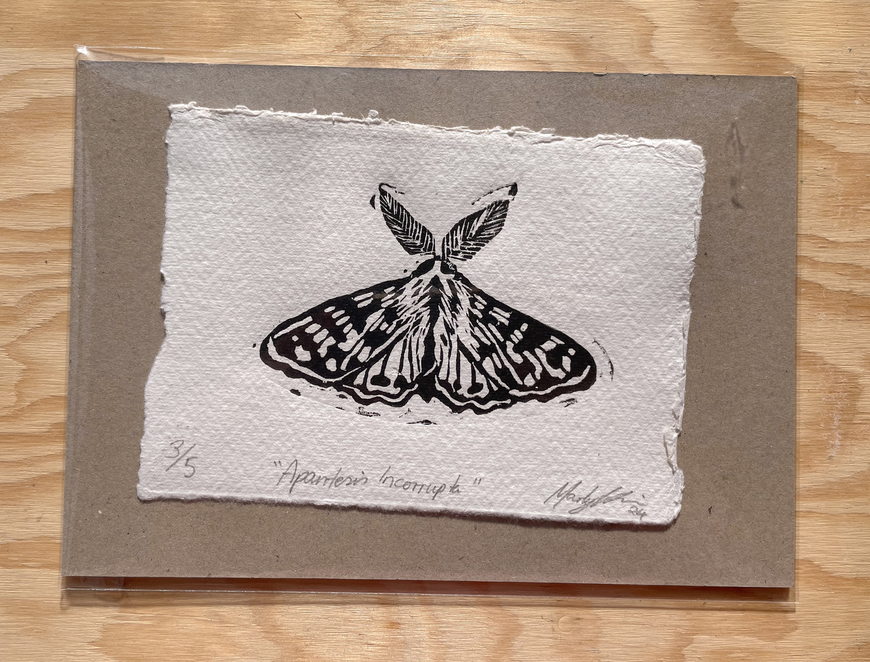Apantesis Incorrupta Tiger Moth Linocut Print | Wall Art | Moth Artwok ...