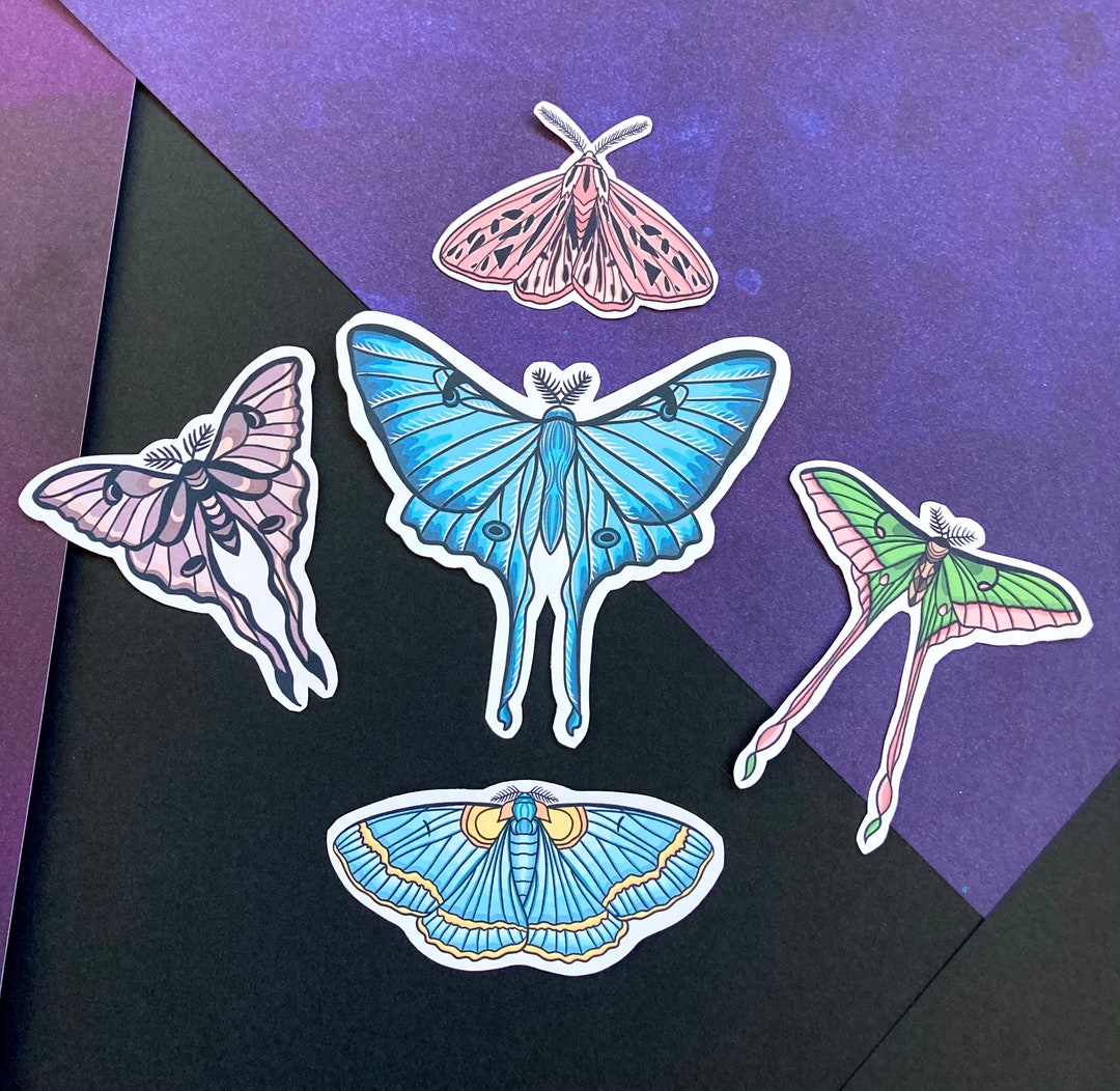 Colourful Moth Stickers Paper Stickers Bullet Journal Stickers Sticker ...