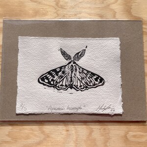 Apantesis Incorrupta Tiger Moth Linocut Print | Wall Art | Moth Artwok ...