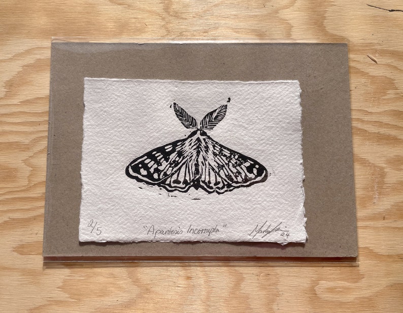 Apantesis Incorrupta Tiger Moth Linocut Print | Wall Art | Moth Artwok ...