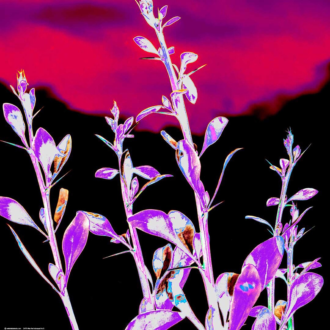 Futuristic Flower Wall Art Poster Abstract Art Floral Design - Etsy