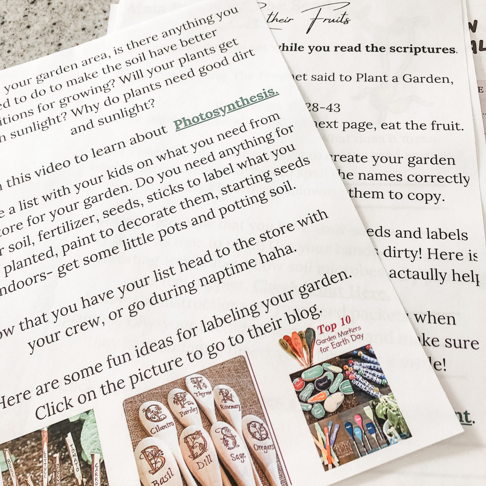 Faith & Gardening Study Unit - Etsy