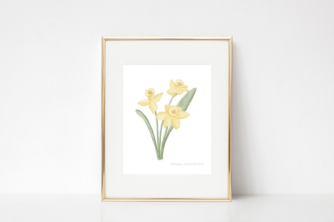 Daffodil Watercolor Print Floral Watercolor Print Floral - Etsy