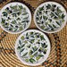 Palestinian Pottery Set of 3 Plates 21cm Green Olive Tree Branch ...