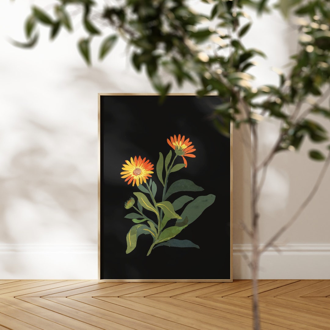 Mary Delany Print: Marigold Flower (premium Giclée Art Print of Floral ...