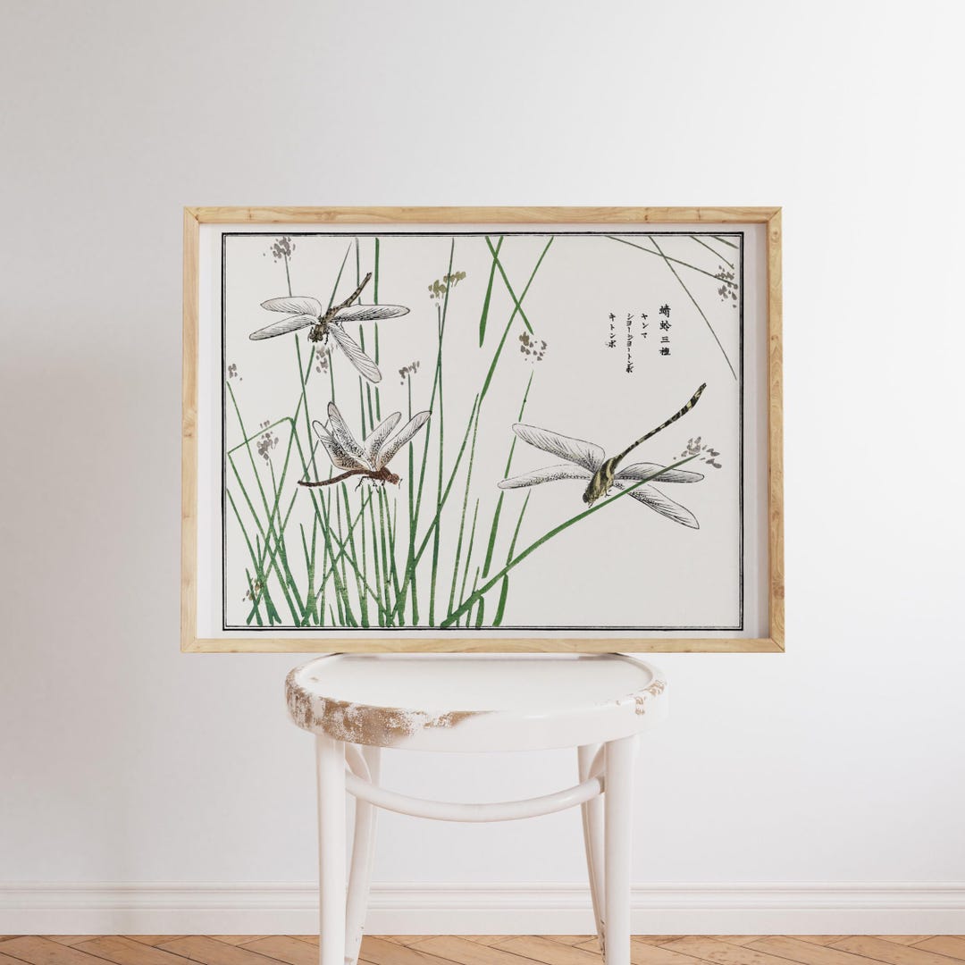 Japanese Art: Dragonflies by Morimoto Toko (premium Giclée Art Print of ...