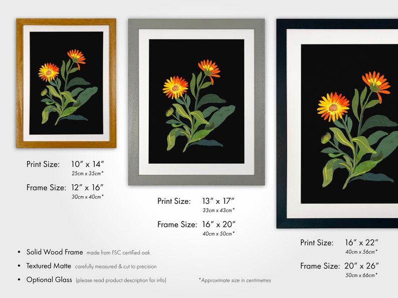 Mary Delany Print: Marigold Flower (premium Giclée Art Print of Floral ...