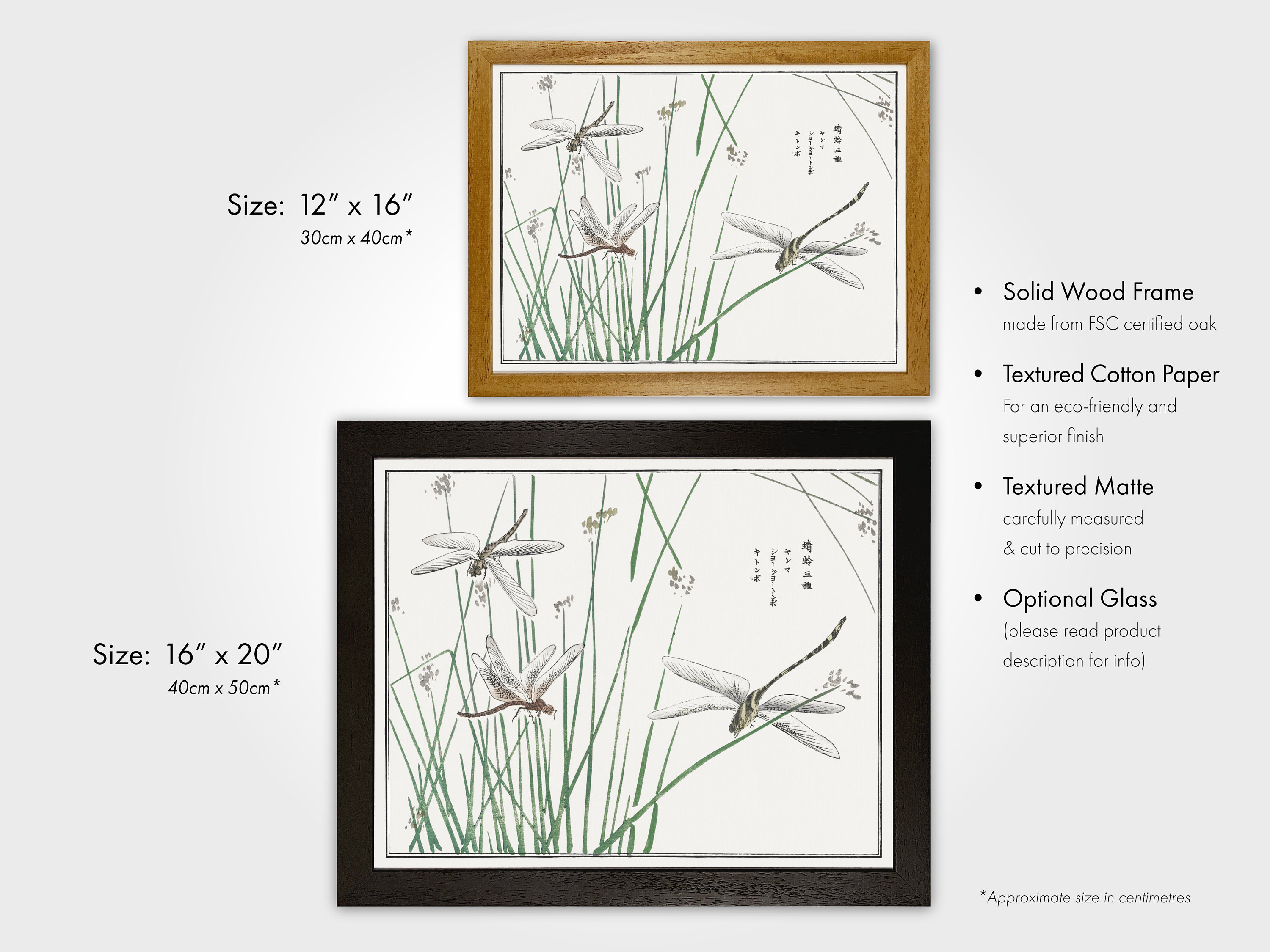 Japanese Art: Dragonflies by Morimoto Toko (premium Giclée Art Print of ...