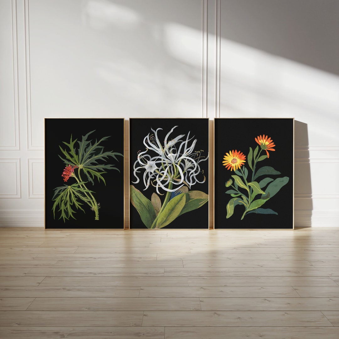 Botanical Art: Set of 3 Flower Prints (premium Giclée Art Prints by ...