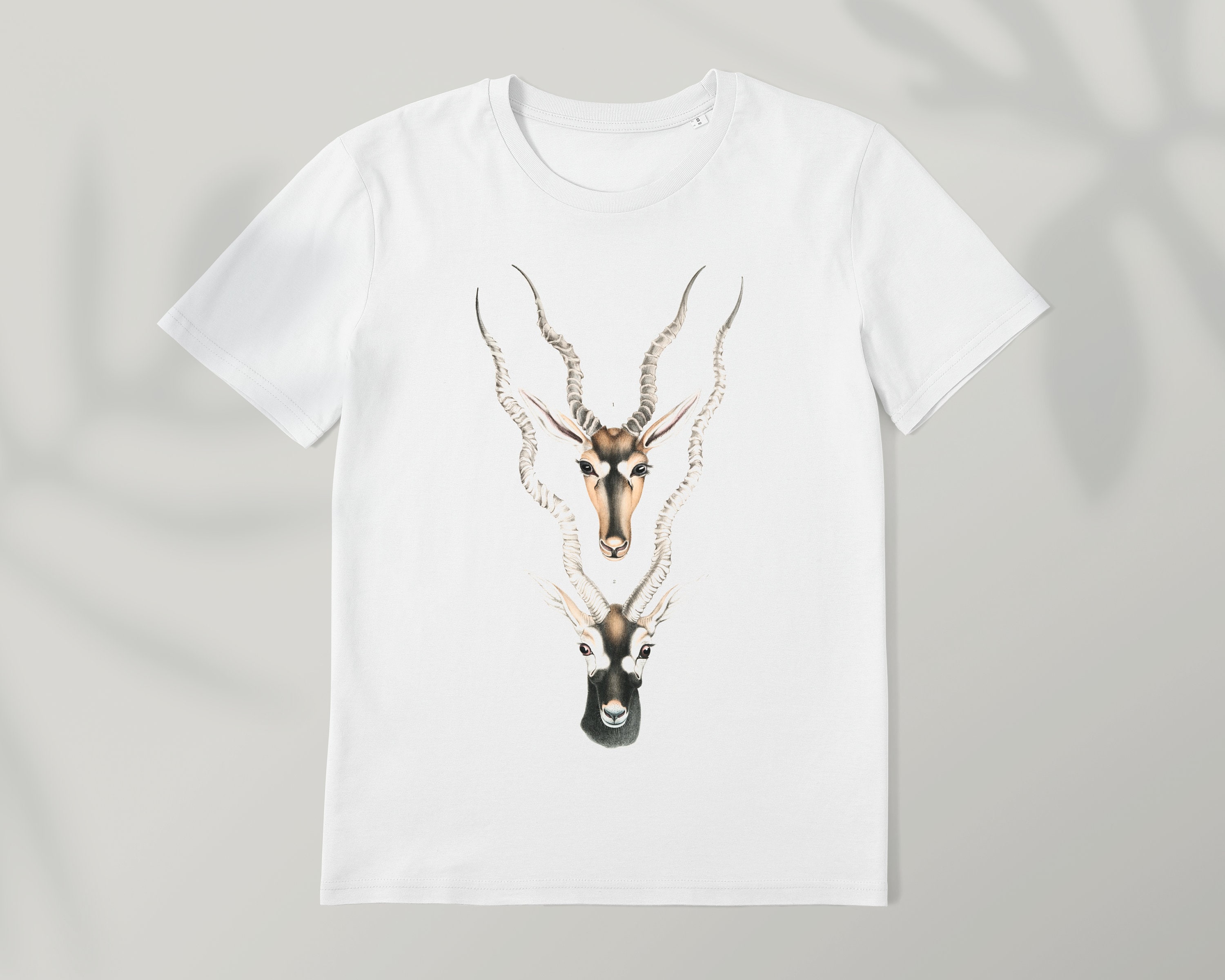 Indian Antelope - 100% Organic Cotton Unisex T-shirt Featuring a ...
