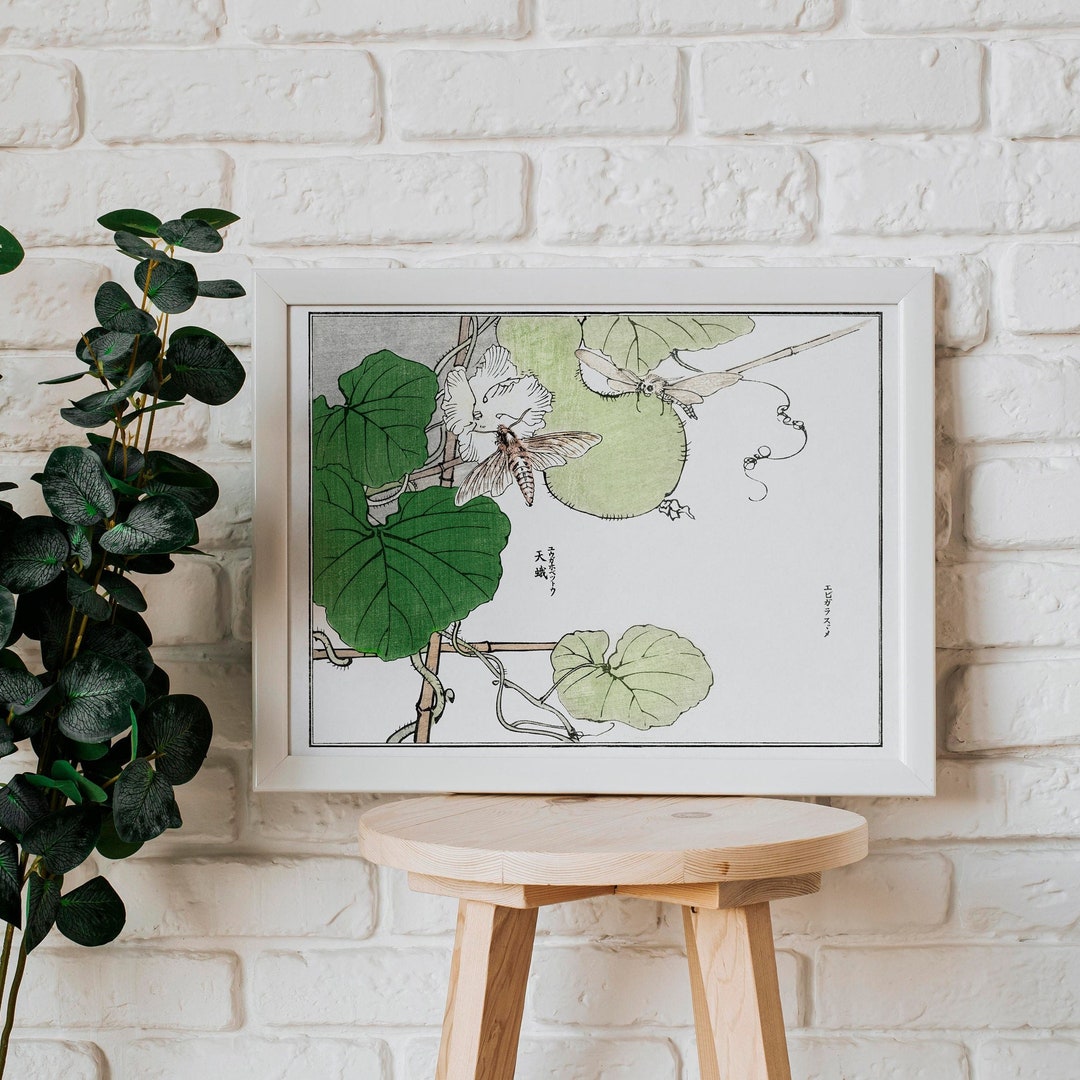 Japanese Art: Moth by Morimoto Toko (premium Giclée Art Print of ...