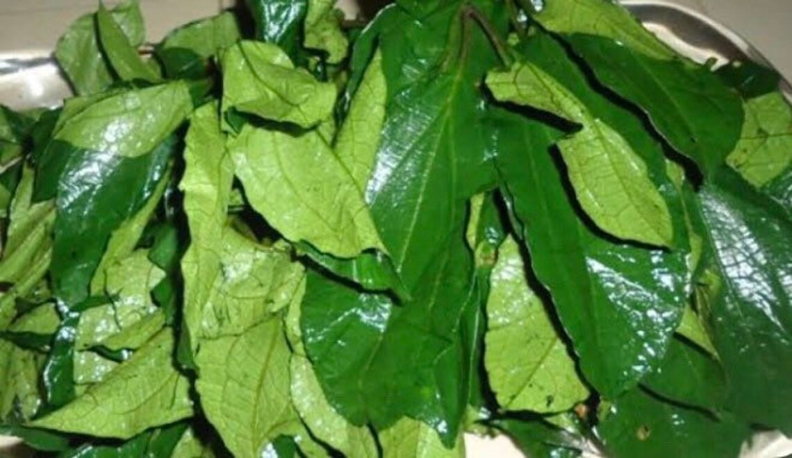 Dried chopped Nigerian ugwu leaves | Etsy