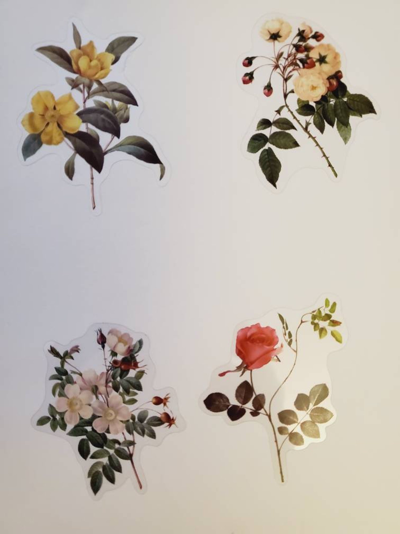 40pcs Flower Transparent Stickers Flower Stickers Decorative - Etsy